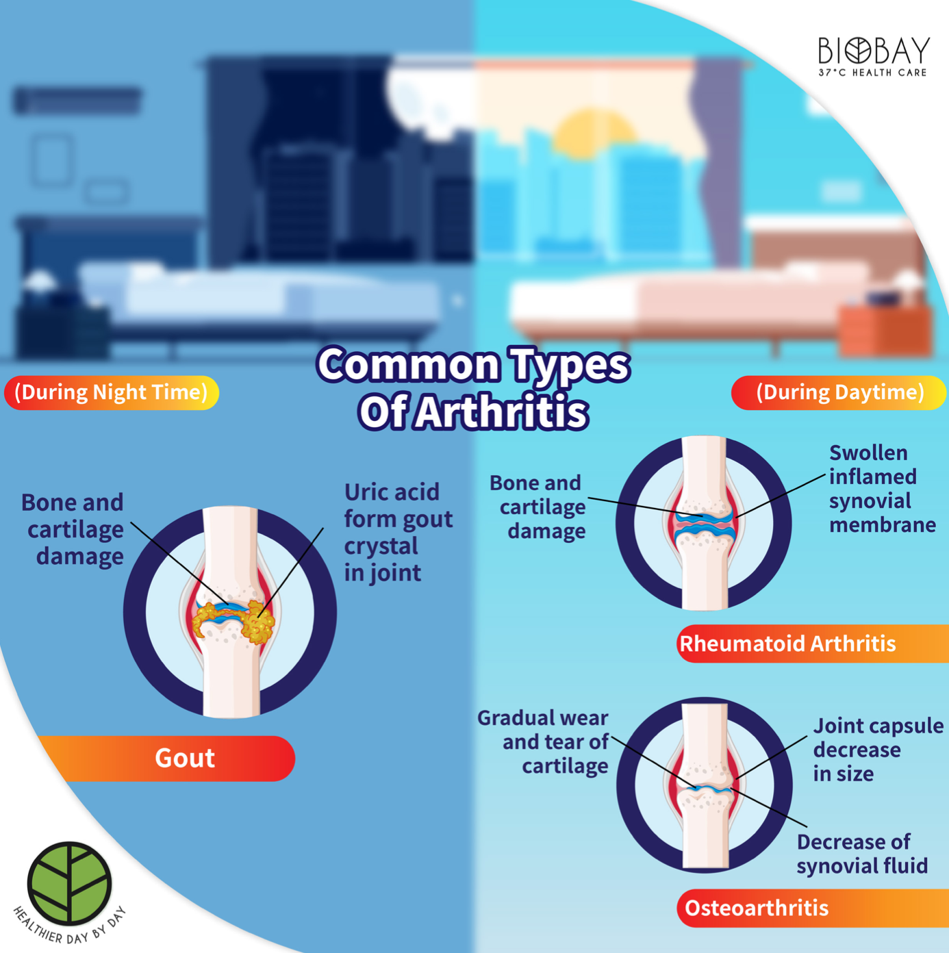 BIOBAY Joingard 60 capsules