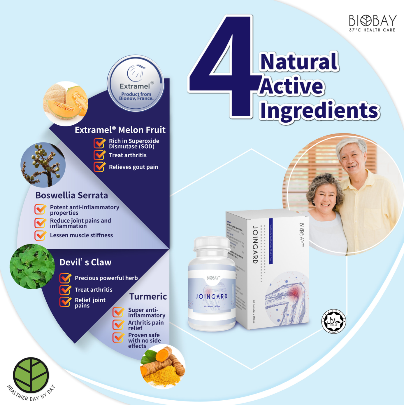 BIOBAY Joingard 60 capsules