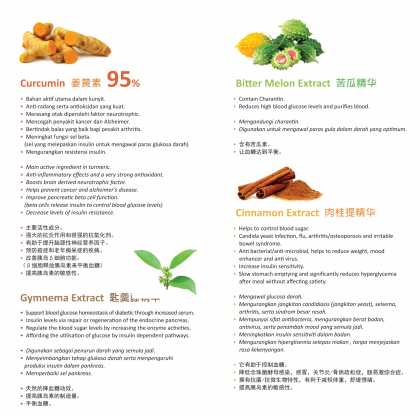 BIOBAY Gym-Cumin Plus 60 capsules