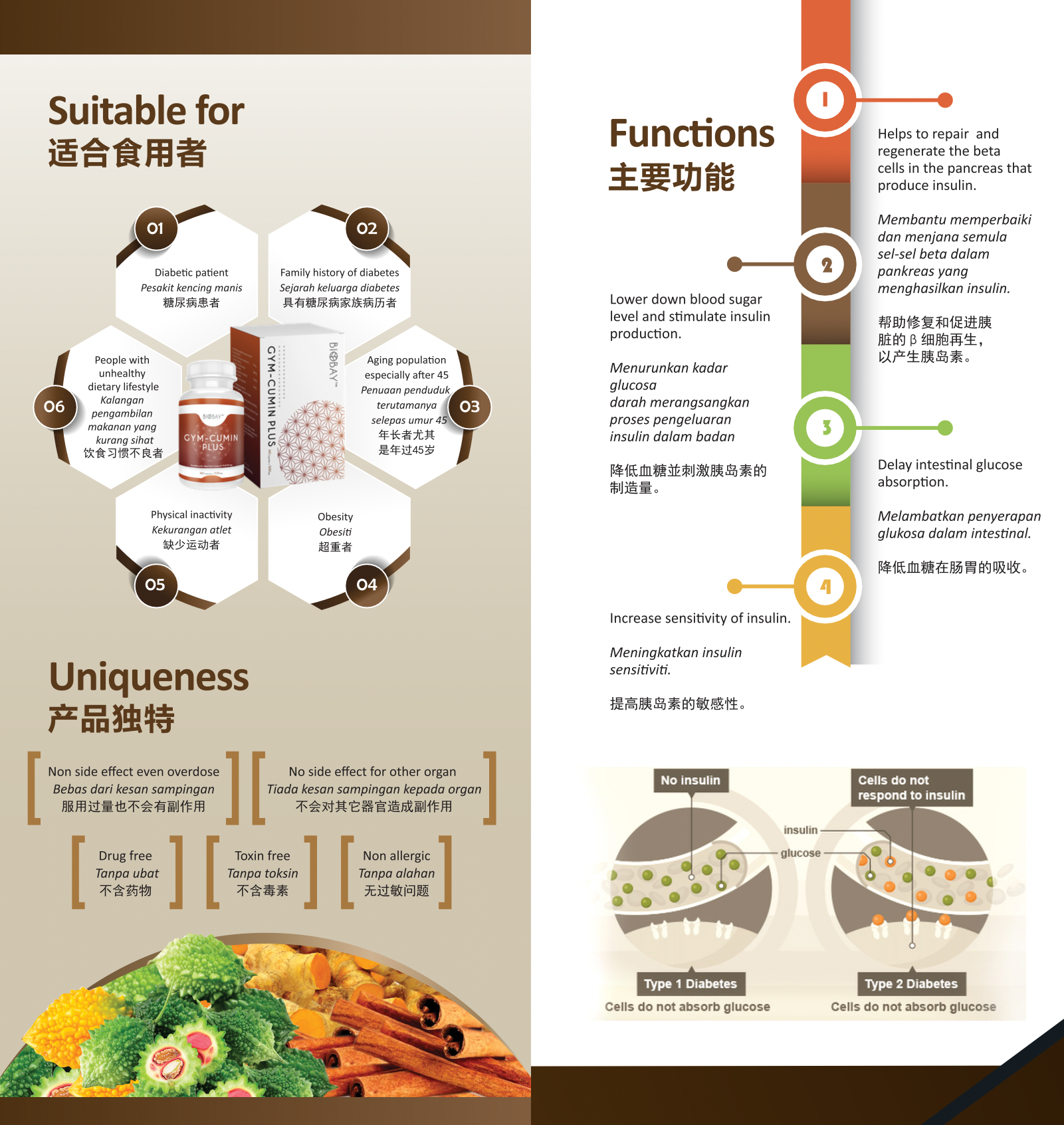 BIOBAY Gym-Cumin Plus 60 capsules