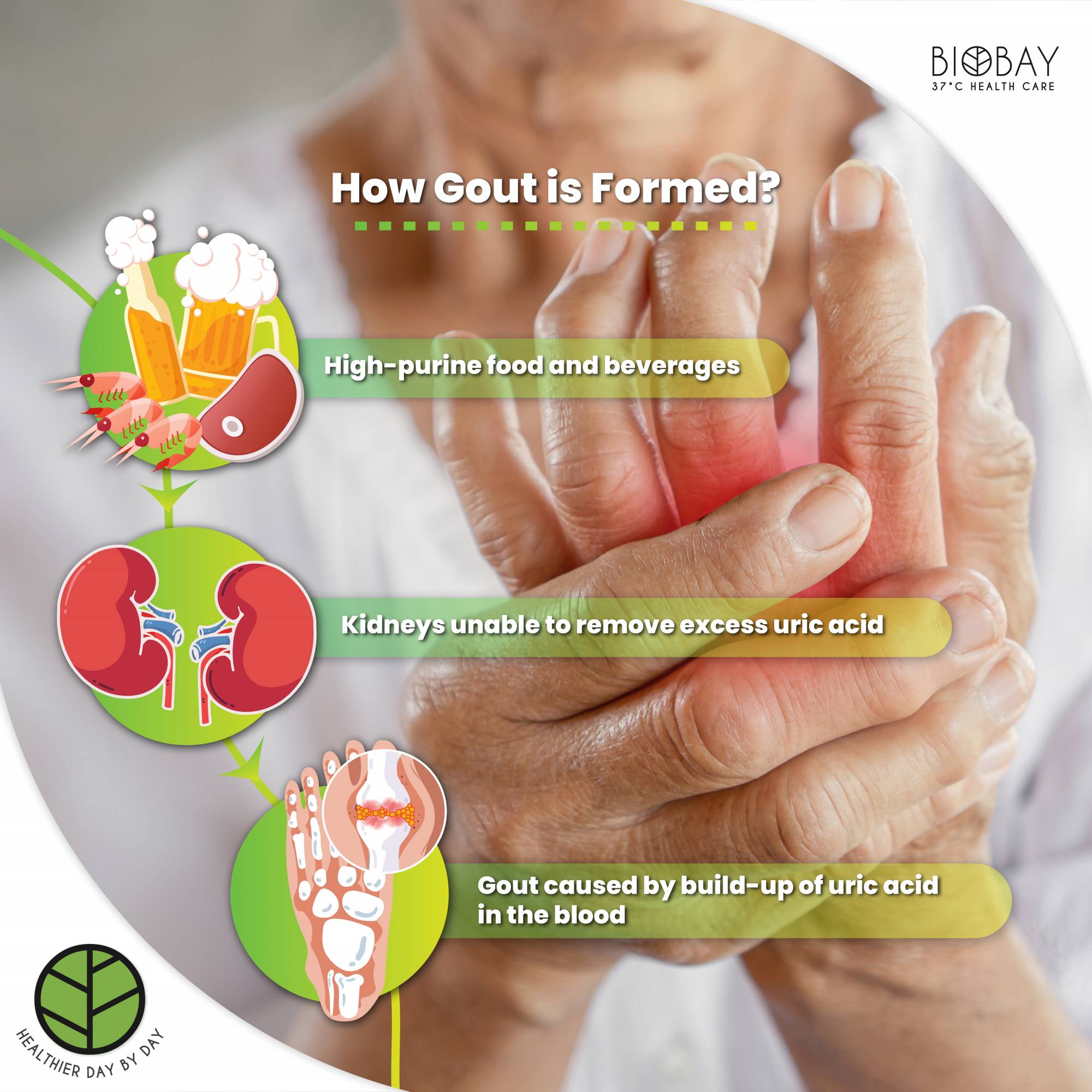 BIOBAY Uricard 30 capsules