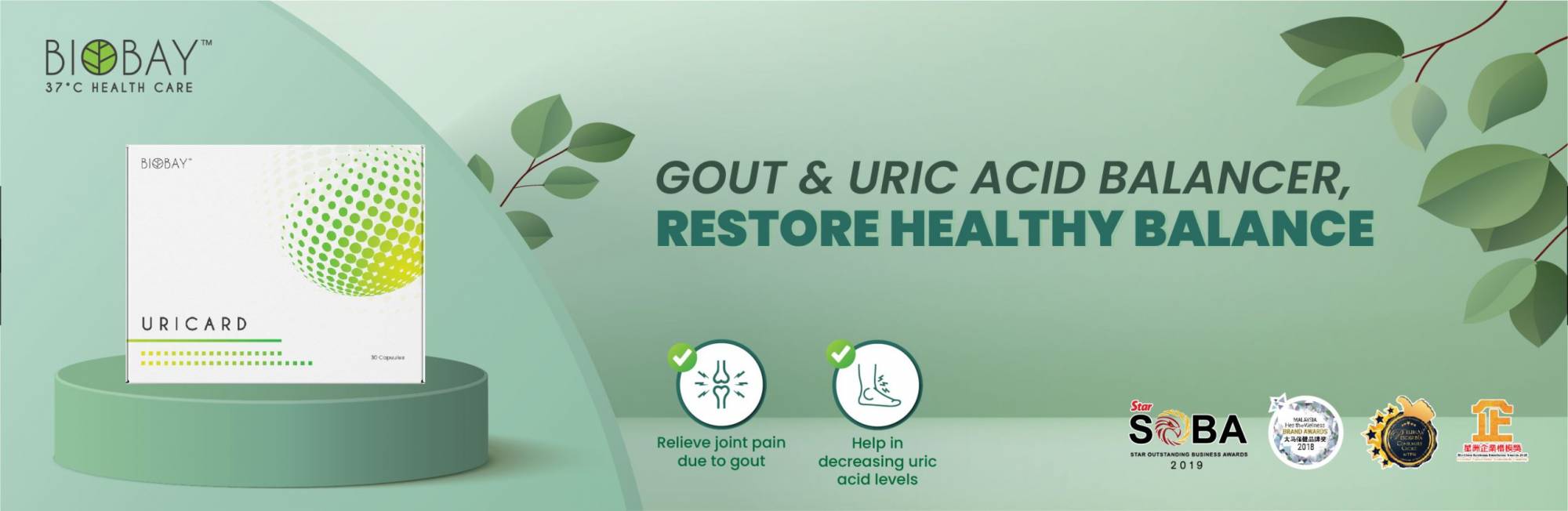 BIOBAY Uricard 30 capsules
